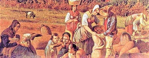 Serfdom | Origin, Definition & International Law - What Insider